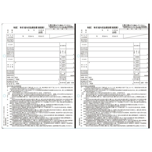 【たのめーる】日本法令 給与支払報告書 総括表 A4判カット紙 地方mc 6c R06 1冊 50枚 の通販